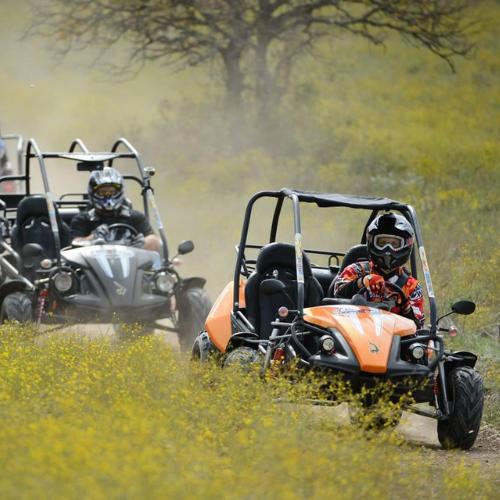 Kids Off Road Buggies – Quads4Kids