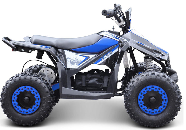 1000w electric quad store