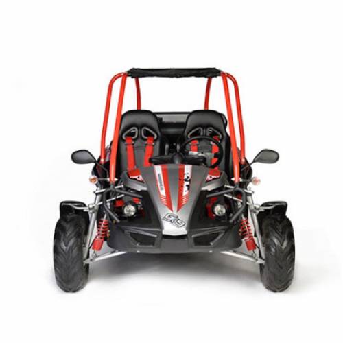 Hammerhead™ GTS150 Platinum 'Special Edition' Buggy – Quads4Kids